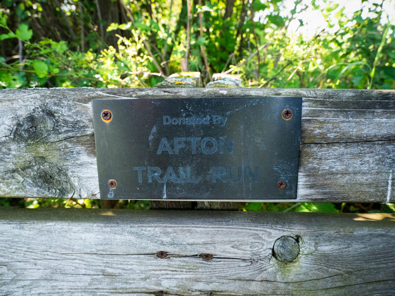 Afton 2024 Recap | Afton Trail Run